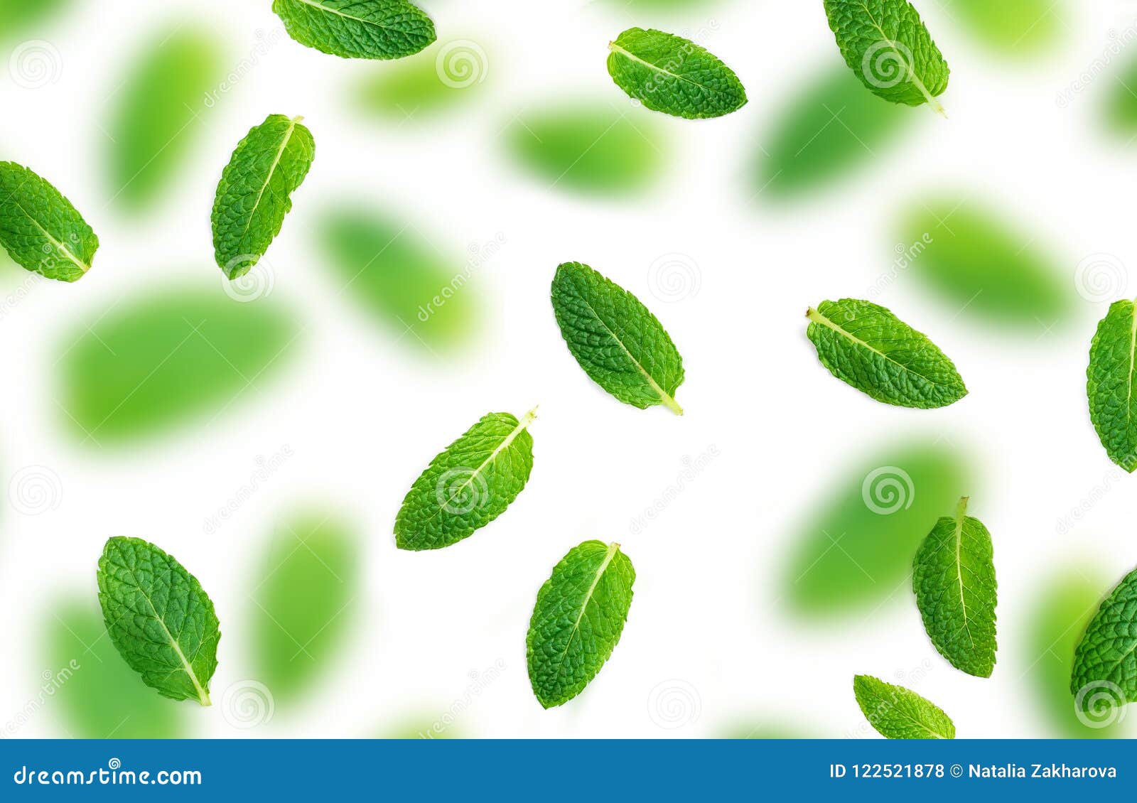 Mint Leaf Pattern