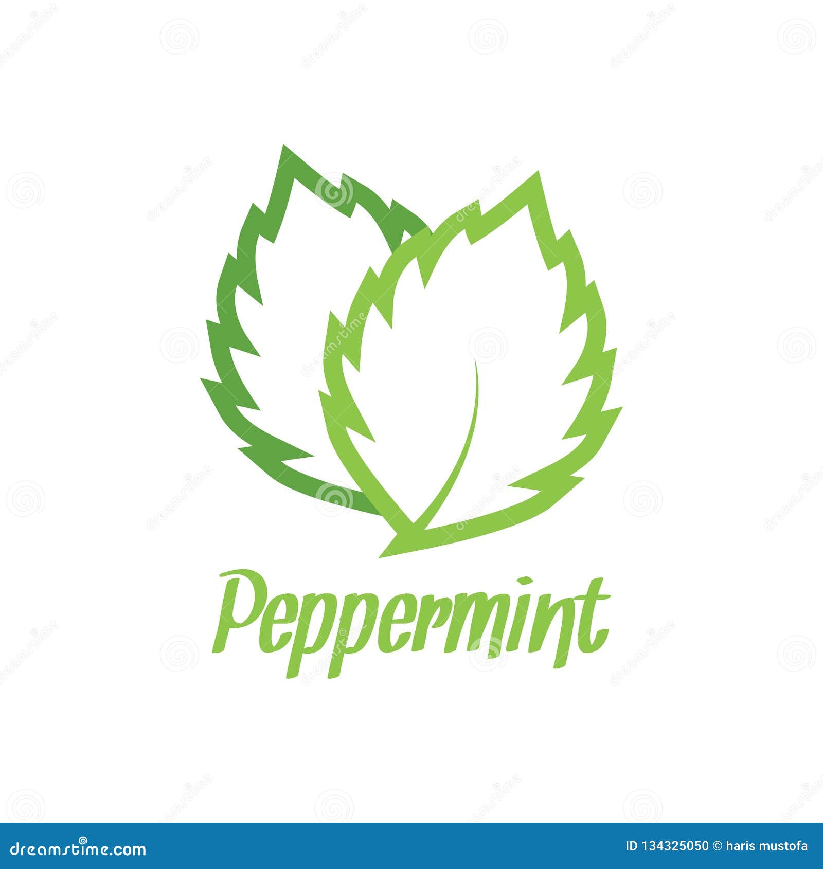 Peppermint Logo Design Inspiration Stock Vector - Illustration of leaf ...