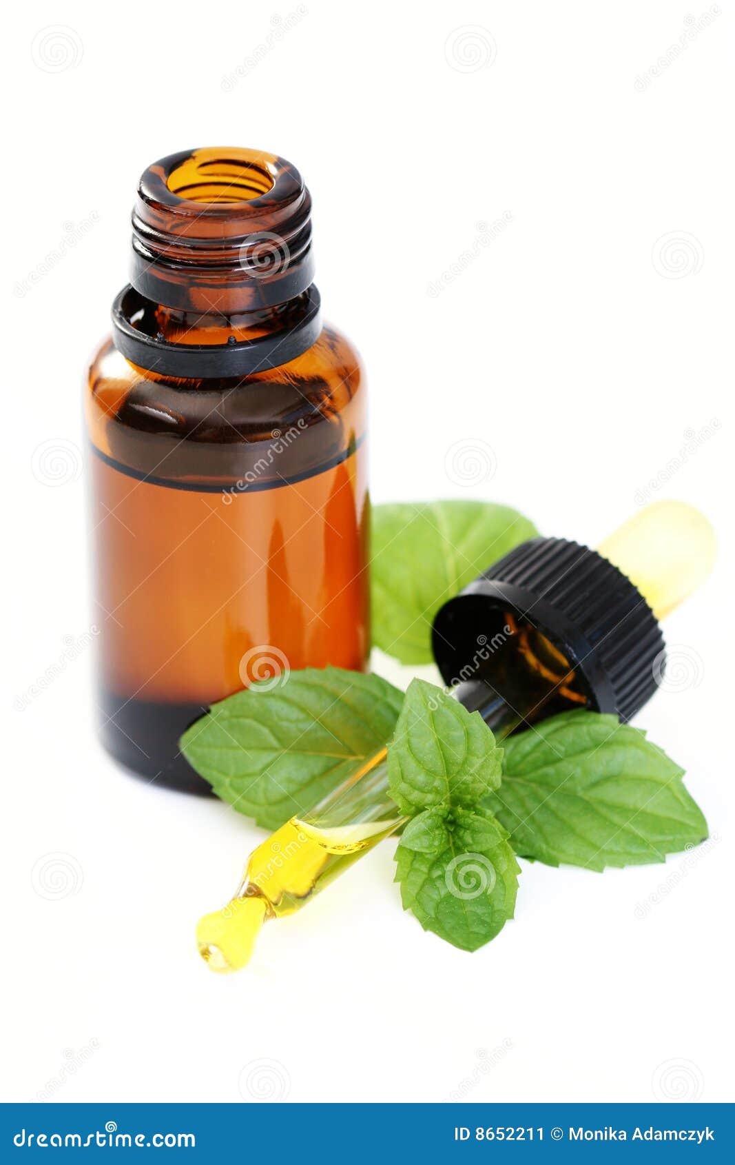 Peppermint oil stock image. Image of peppermint, mint - 8652211