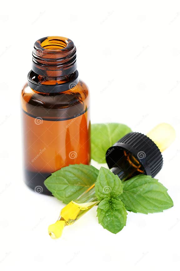 Peppermint oil stock image. Image of peppermint, mint - 8652211