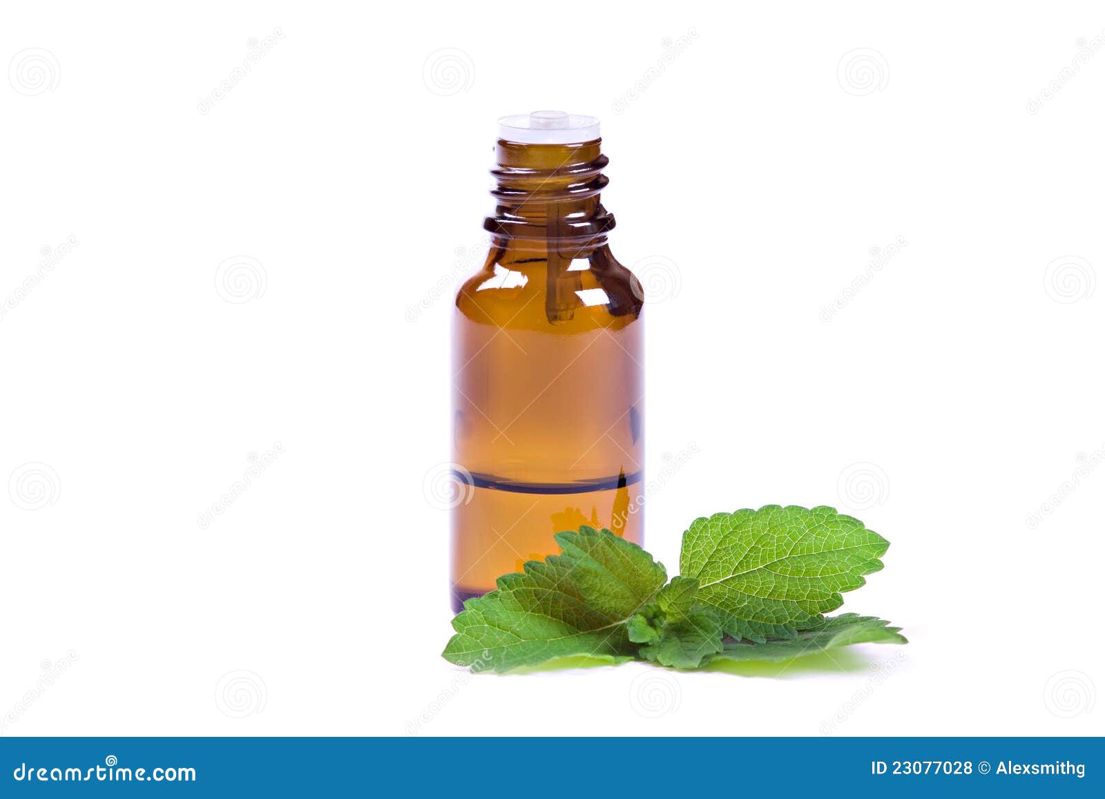 Peppermint Oil and Fresh Mint Stock Photo - Image of bottle, herb: 23077028