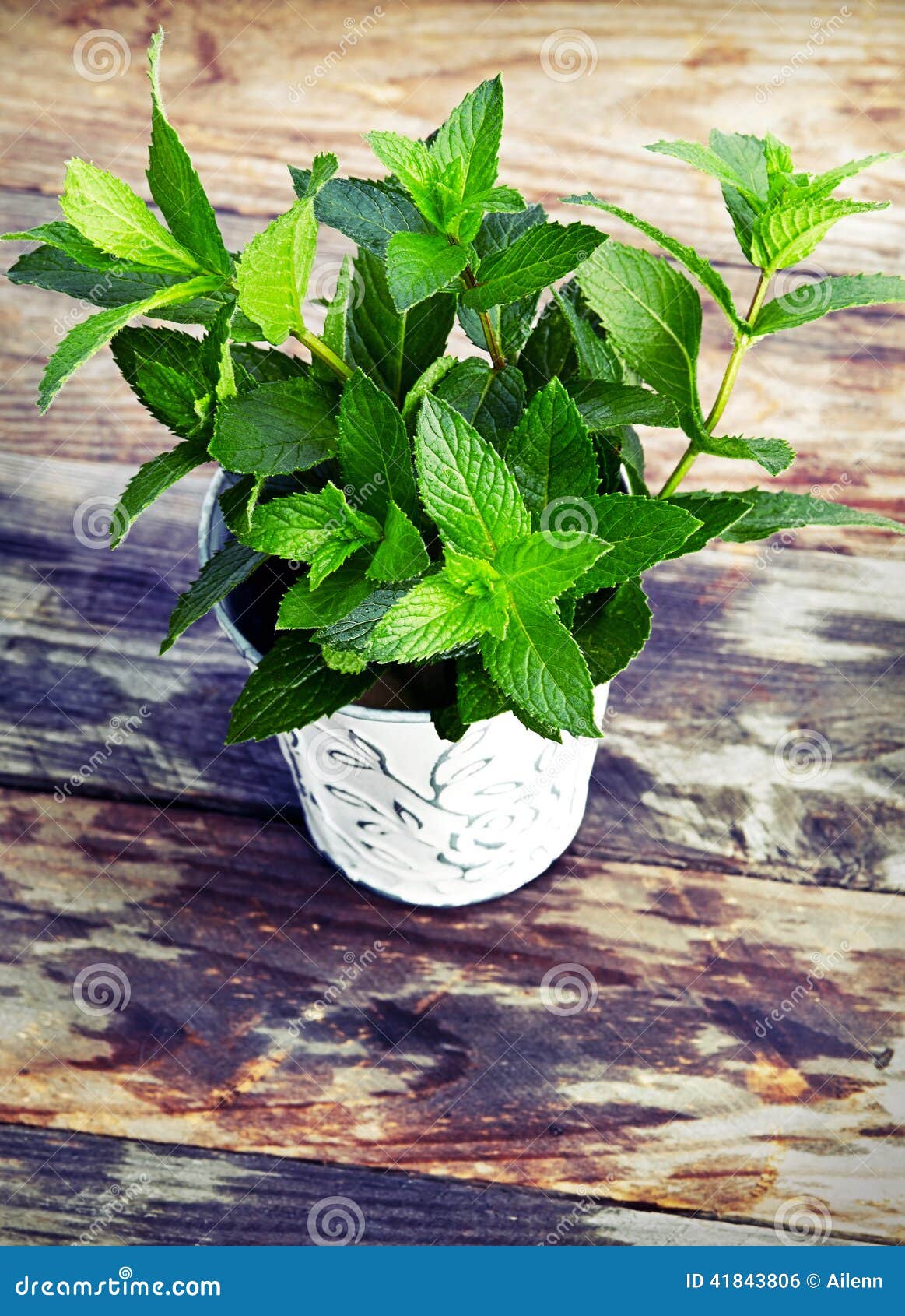 Peppermint in Pot on Wood Table Stock Photo - Image of leaves, macro ...