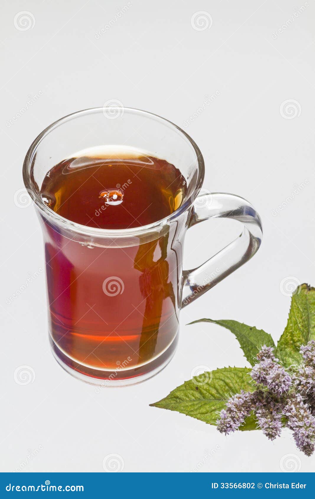 Peppermint tea stock photo. Image of mint, seasoning - 33566802
