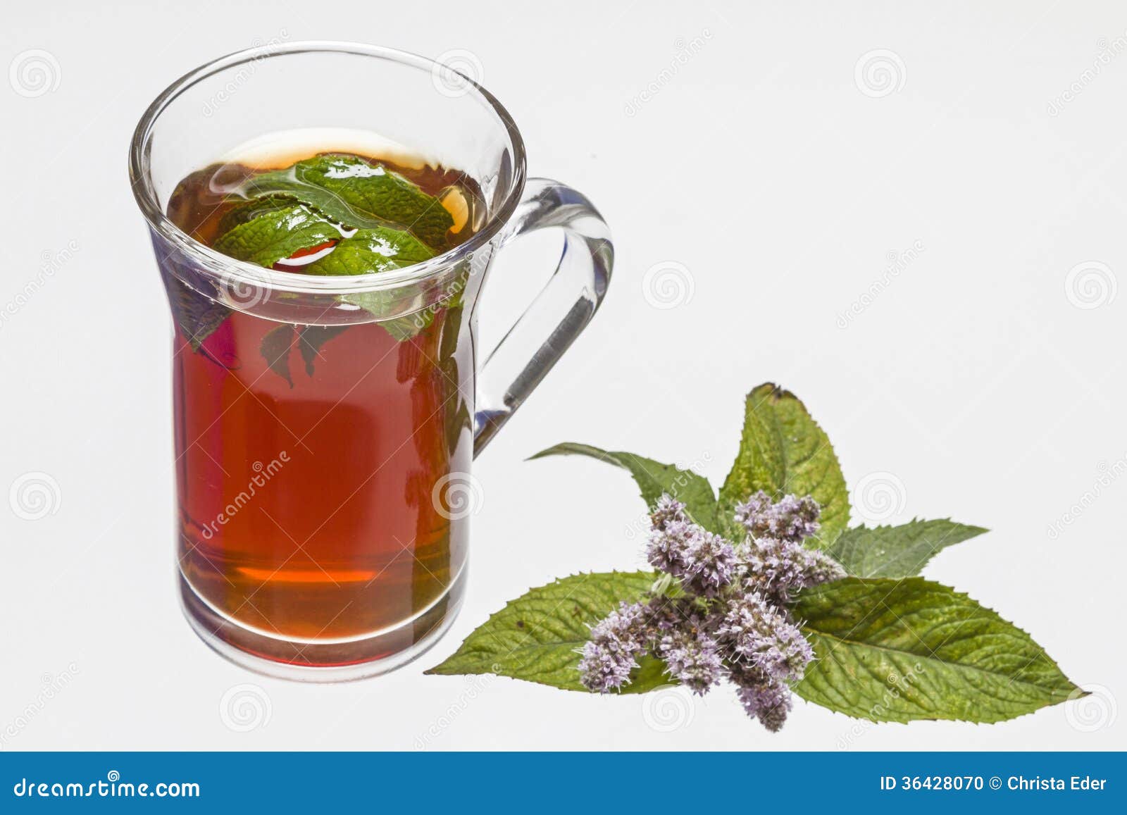 Peppermint tea stock photo. Image of mint, aromatic, refreshing - 36428070