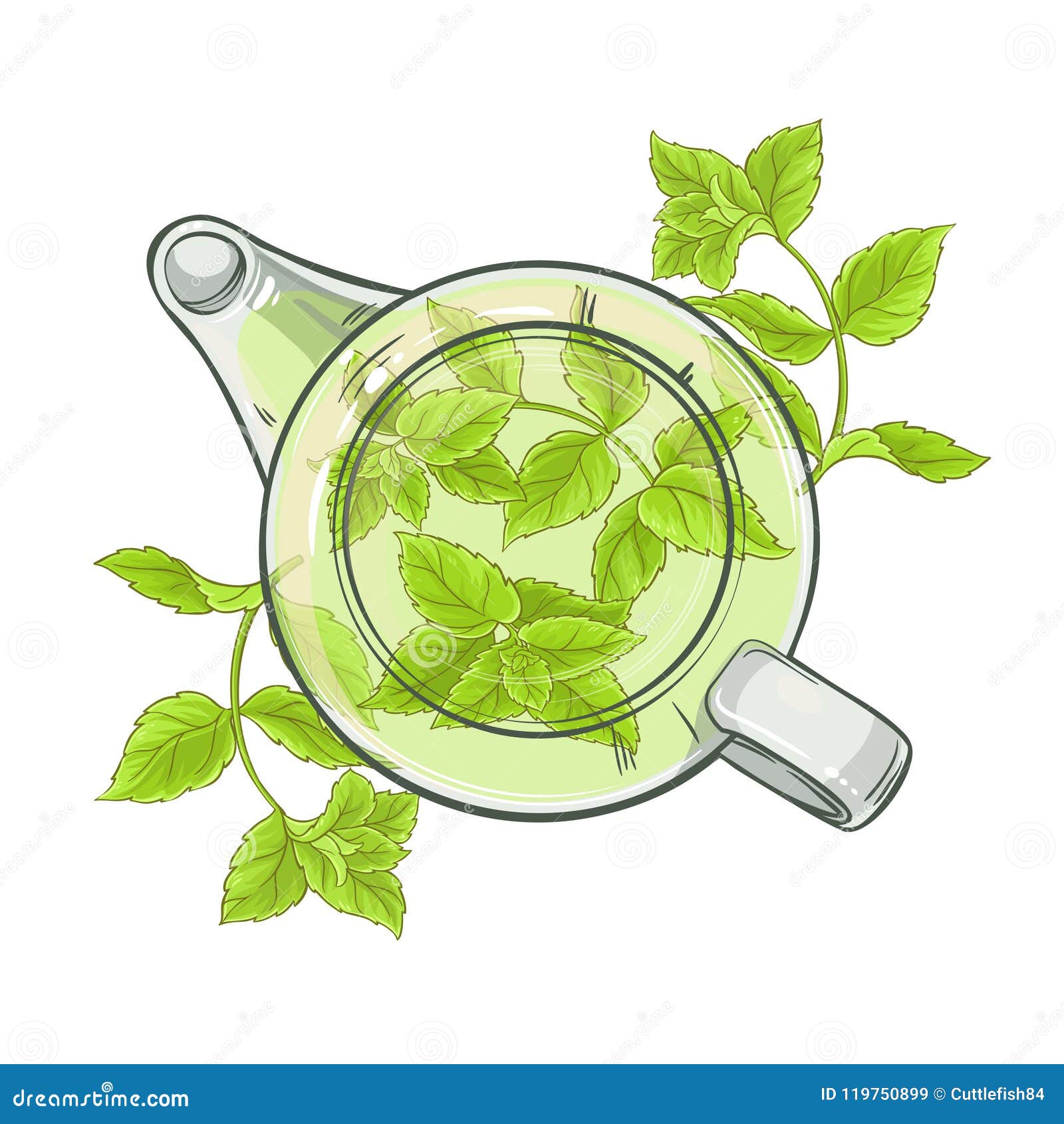 Peppermint tea vector stock vector. Illustration of aroma - 119750899