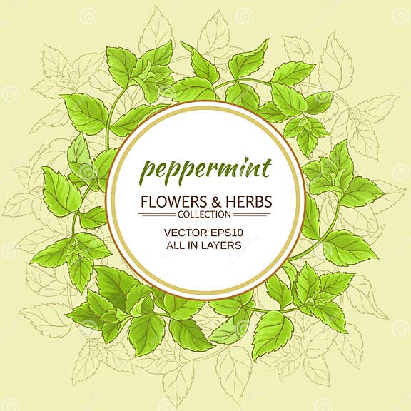 Peppermint vector frame stock vector. Illustration of eating - 83695788