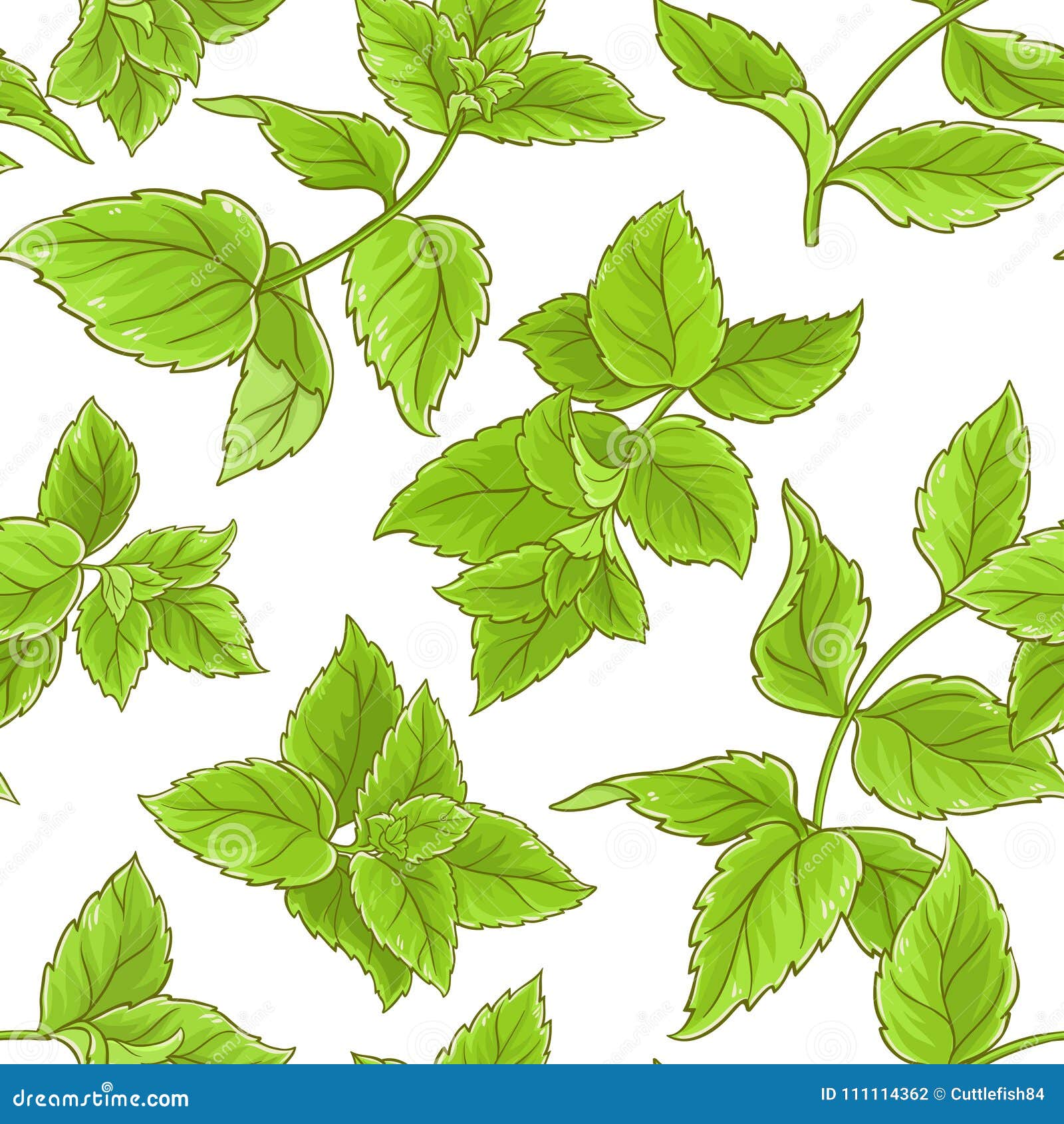 Peppermint vector pattern stock vector. Illustration of ingredient ...