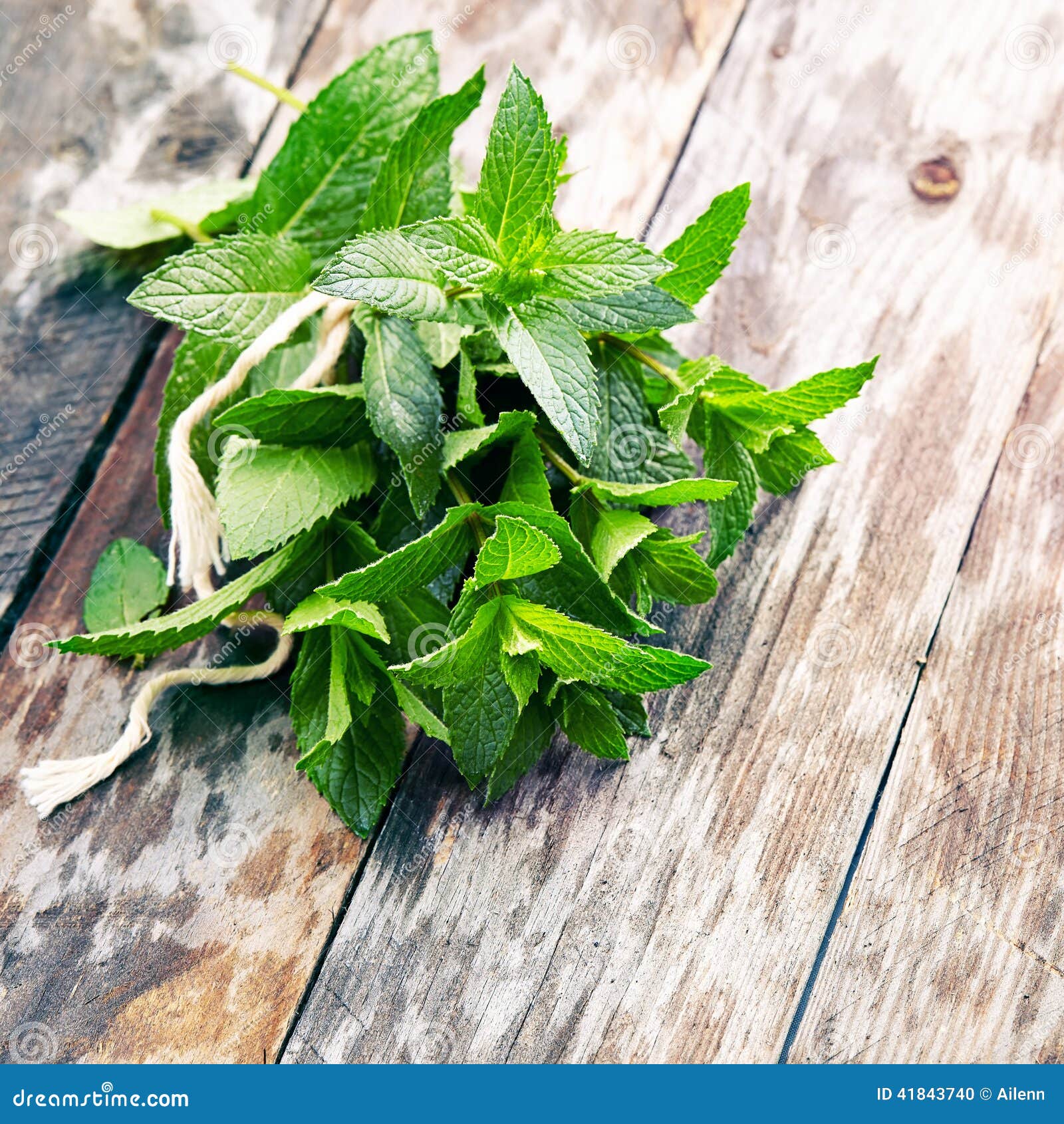 Peppermint on wooden table stock photo. Image of menthol - 41843740