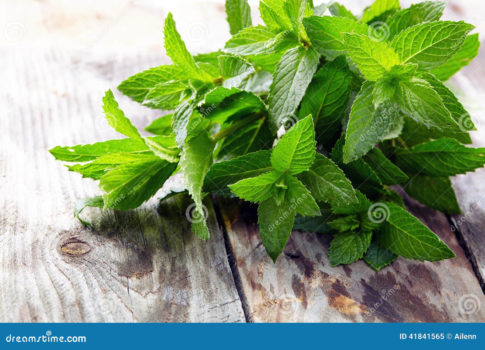 Peppermint on wooden table stock image. Image of detail - 41841565