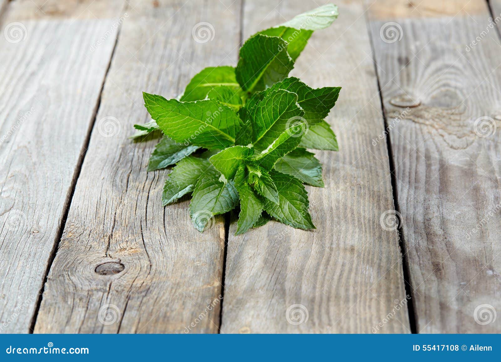 Peppermint on wooden table stock photo. Image of aromatic - 55417108