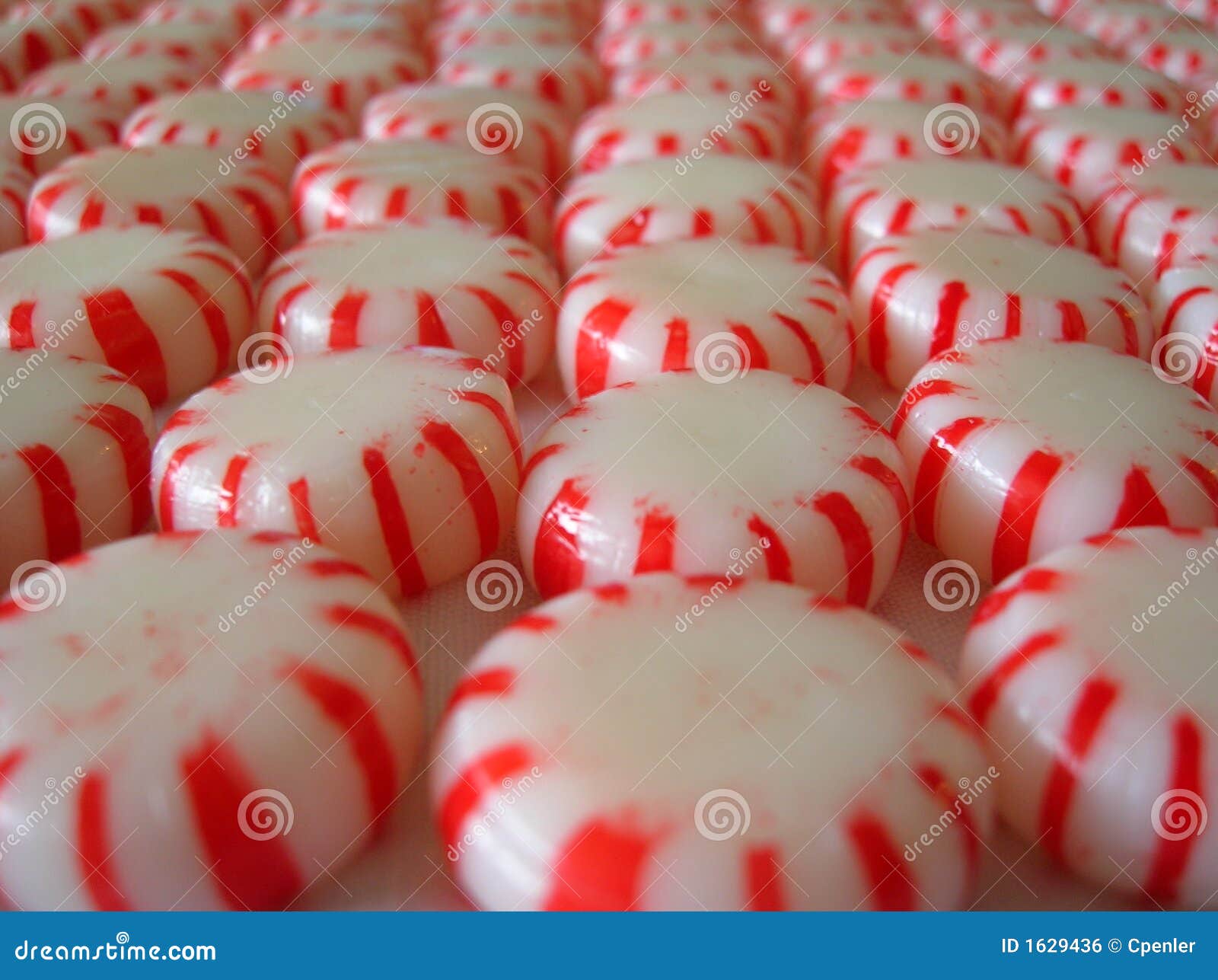 Peppermints. stock photo. Image of christmas, dessert - 1629436