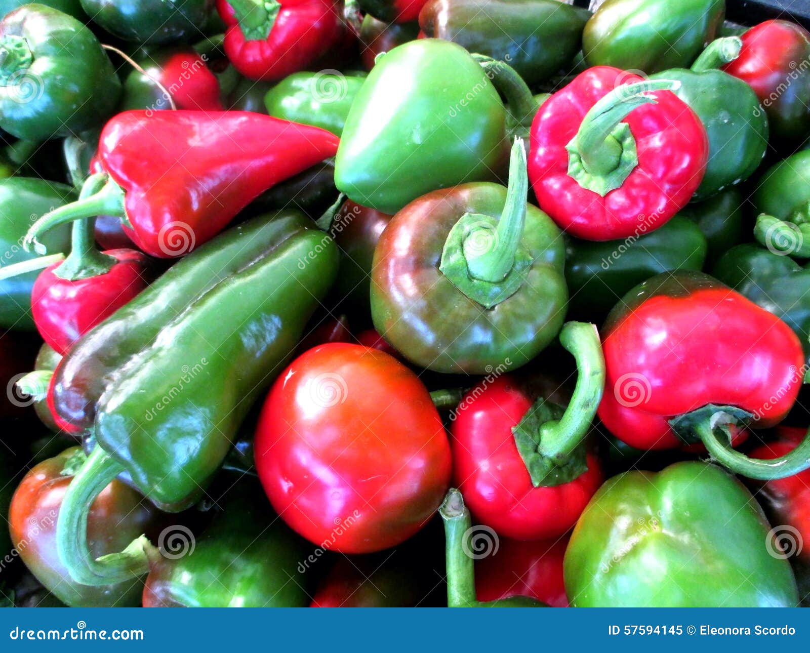 Pepperoni stock image. Image of diet, plants, peppers - 57594145