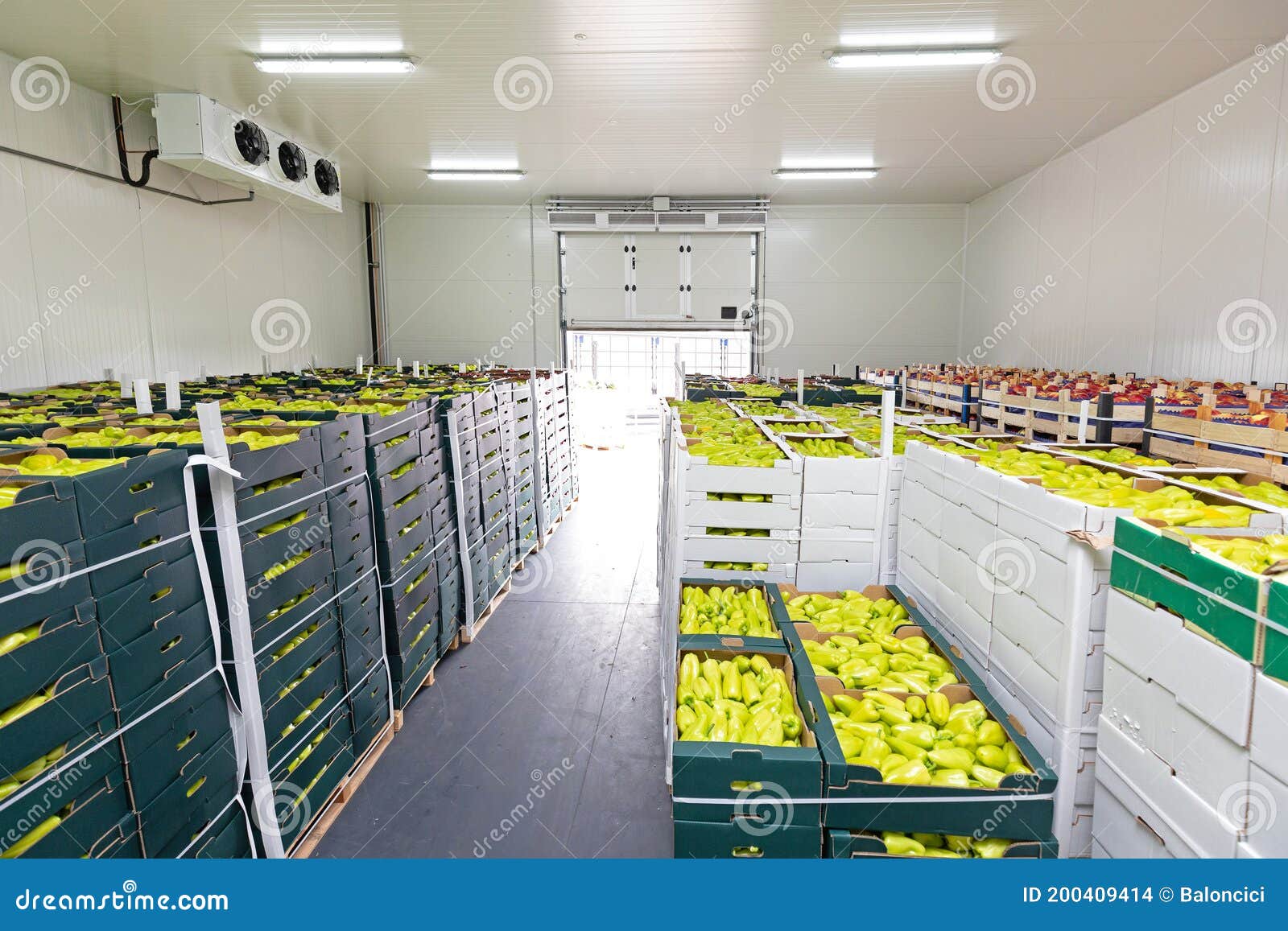 Peppers Apples Pallets stock photo. Image of wholesale - 200409414