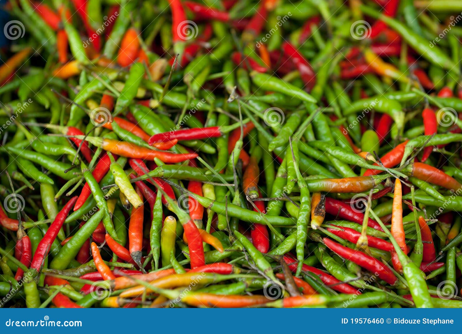Peppers background stock photo. Image of spice, vegetable - 19576460