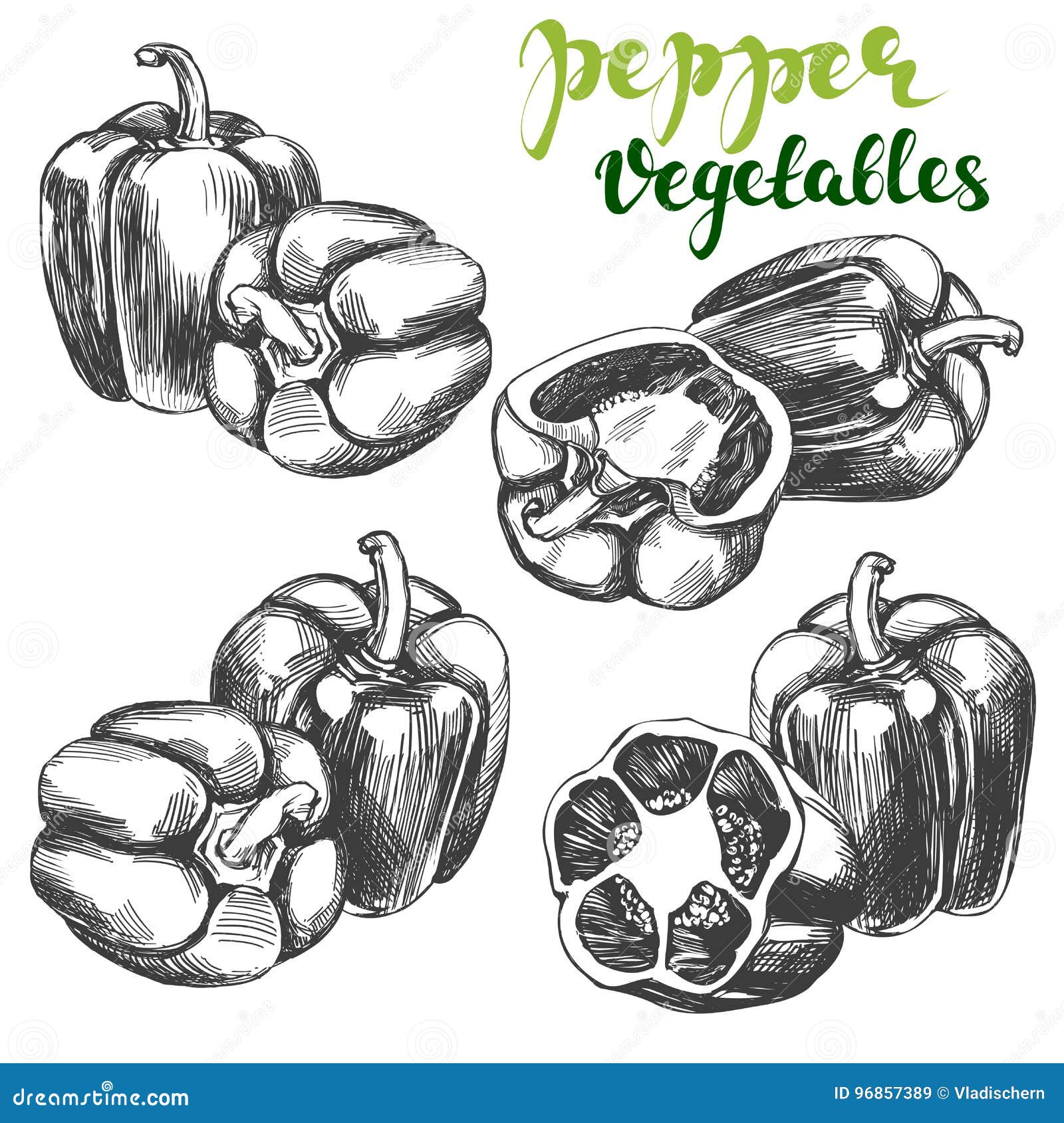Peppers Bell Vegetable Set Hand Drawn Vector Illustration Realistic ...