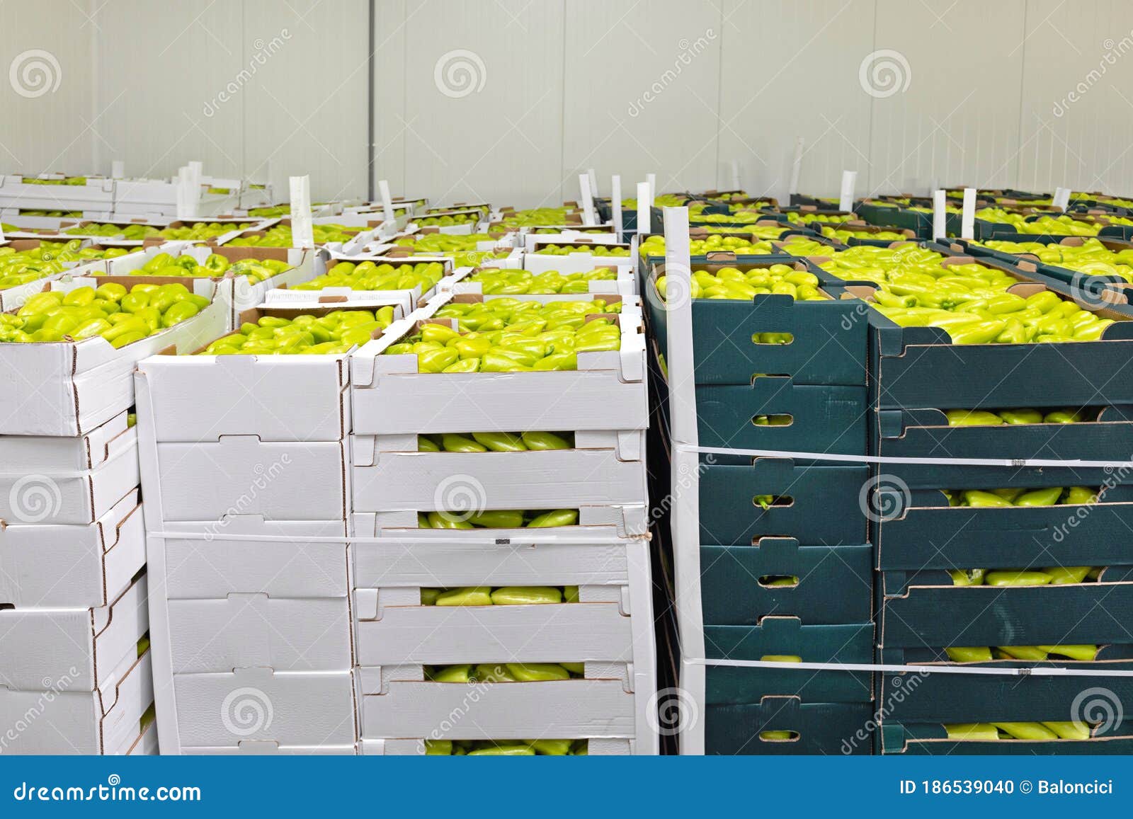Peppers Box Storage stock photo. Image of crate, warehouse - 186539040