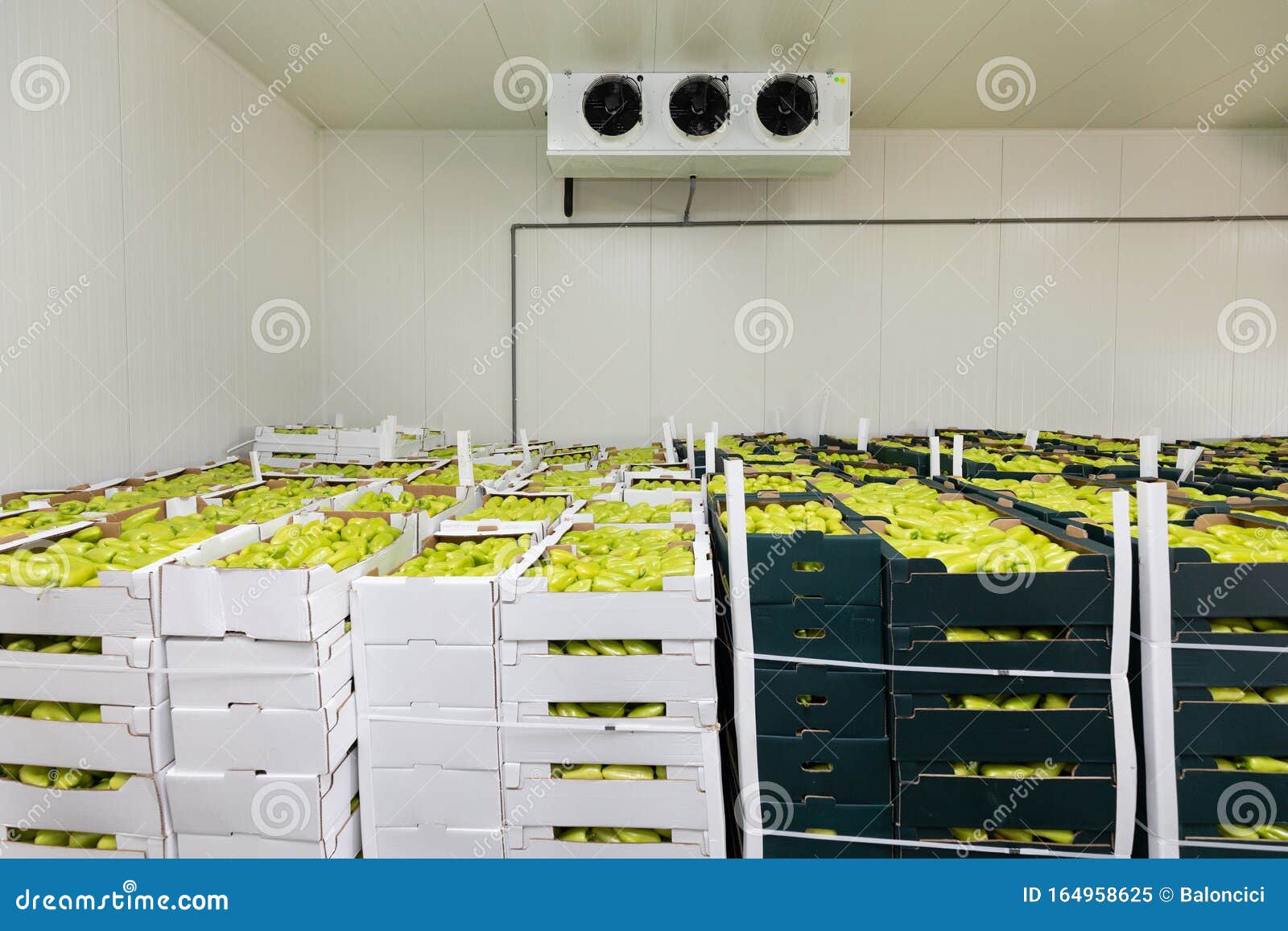 Peppers Cold Warehouse stock image. Image of wholesale - 164958625