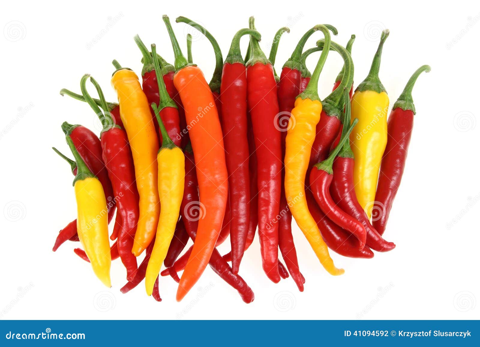 Peppers stock photo. Image of chilli, vegetarian, natural - 41094592