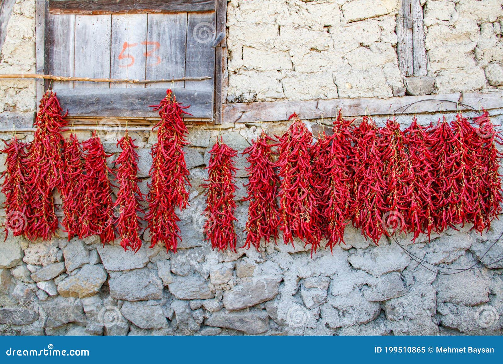 Peppers Drying Outside As Traditional Stock Image - Image of bench ...