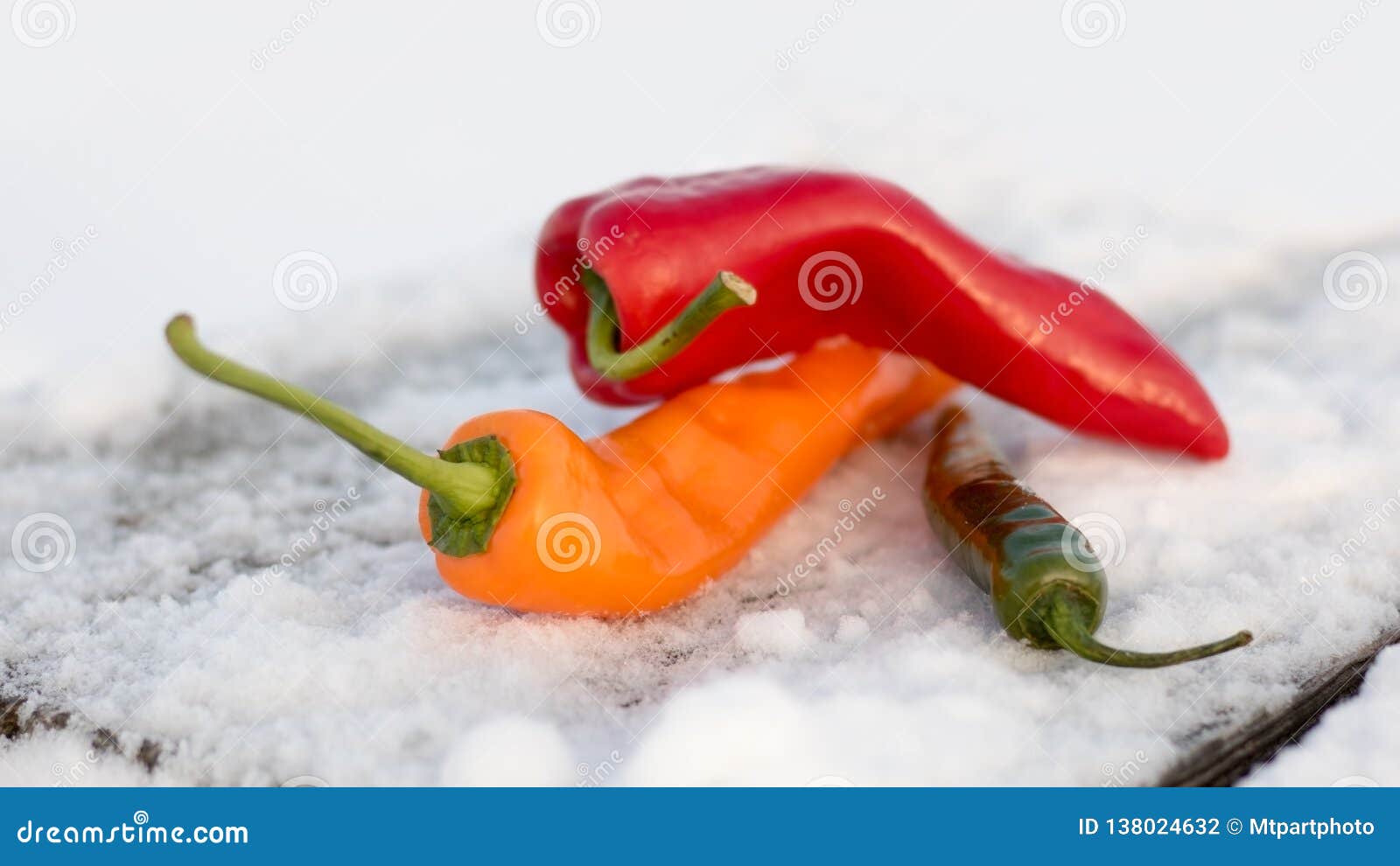 485 Peppers Snow Stock Photos - Free & Royalty-Free Stock Photos from ...