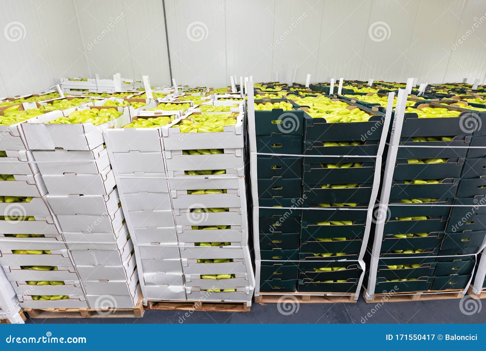 Peppers Storage stock image. Image of storage, crates - 171550417