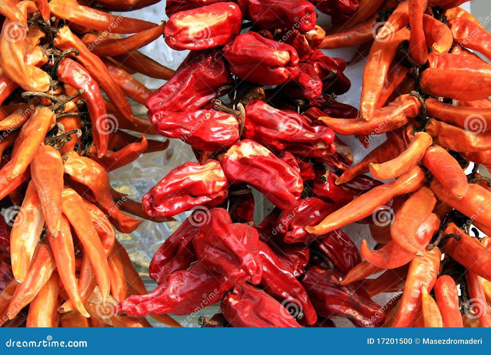 Peppers on string stock photo. Image of assortment, pepper - 17201500