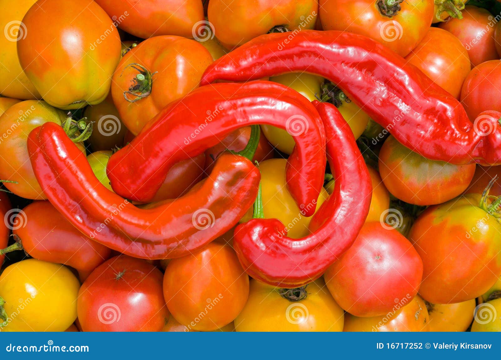 Peppers and tomatoes 4 stock photo. Image of crop, arrangement - 16717252