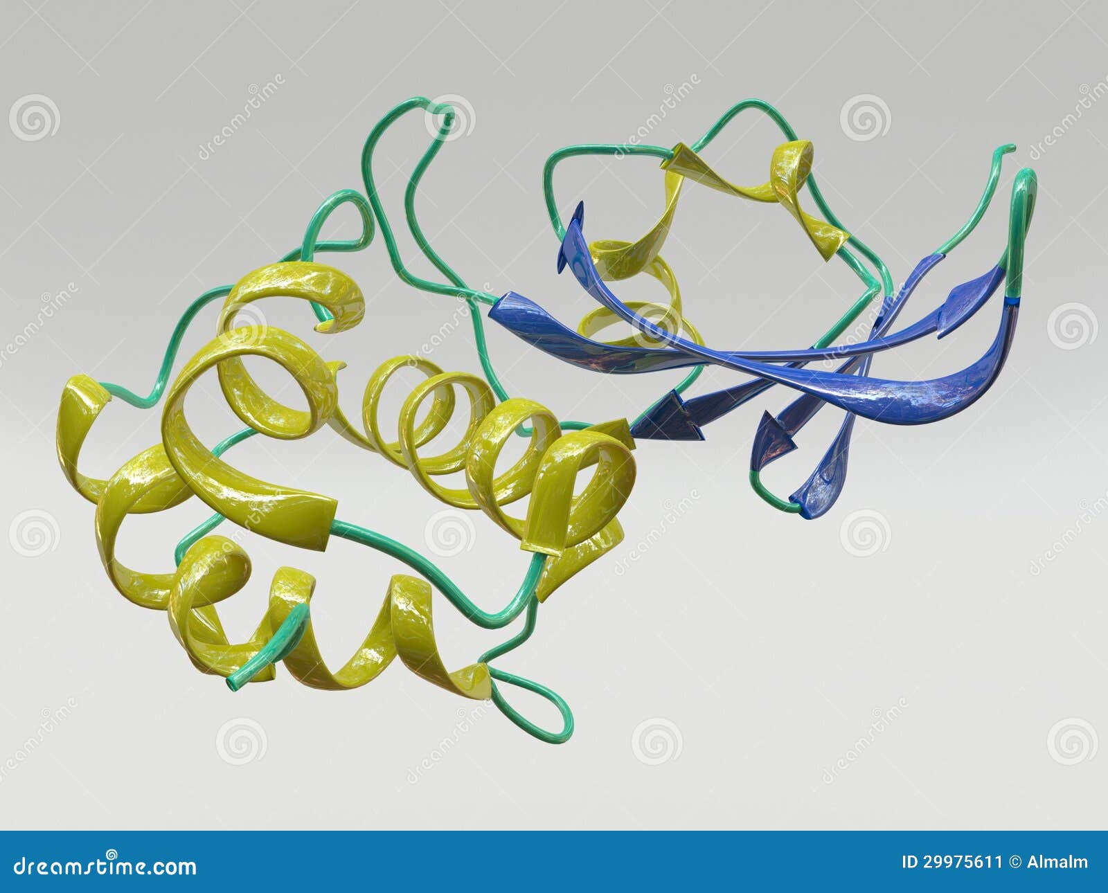 Polypeptide Molecule Structure