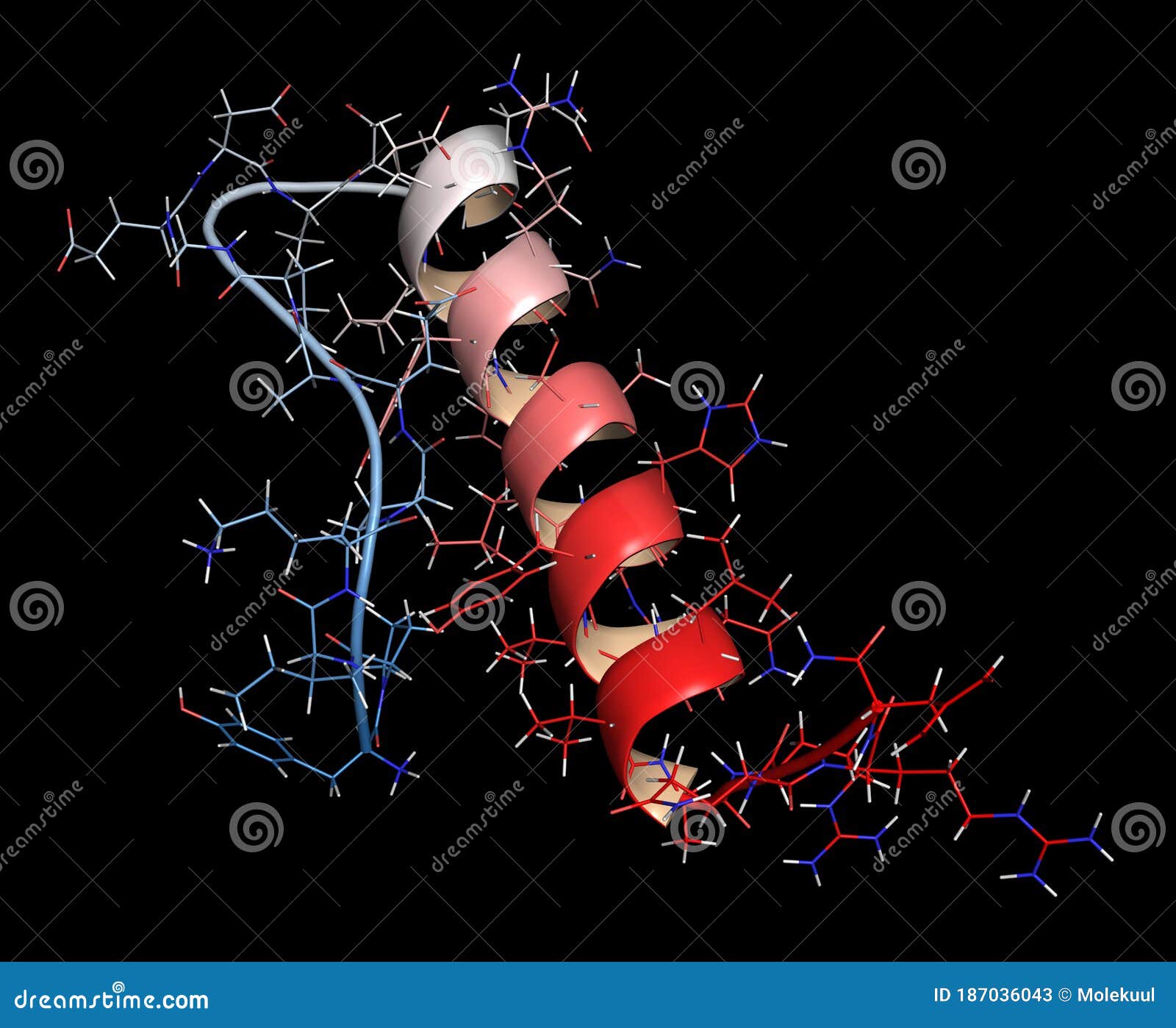 Peptide YY (PYY) Appetite Reducing Polypeptide Stock Illustration ...