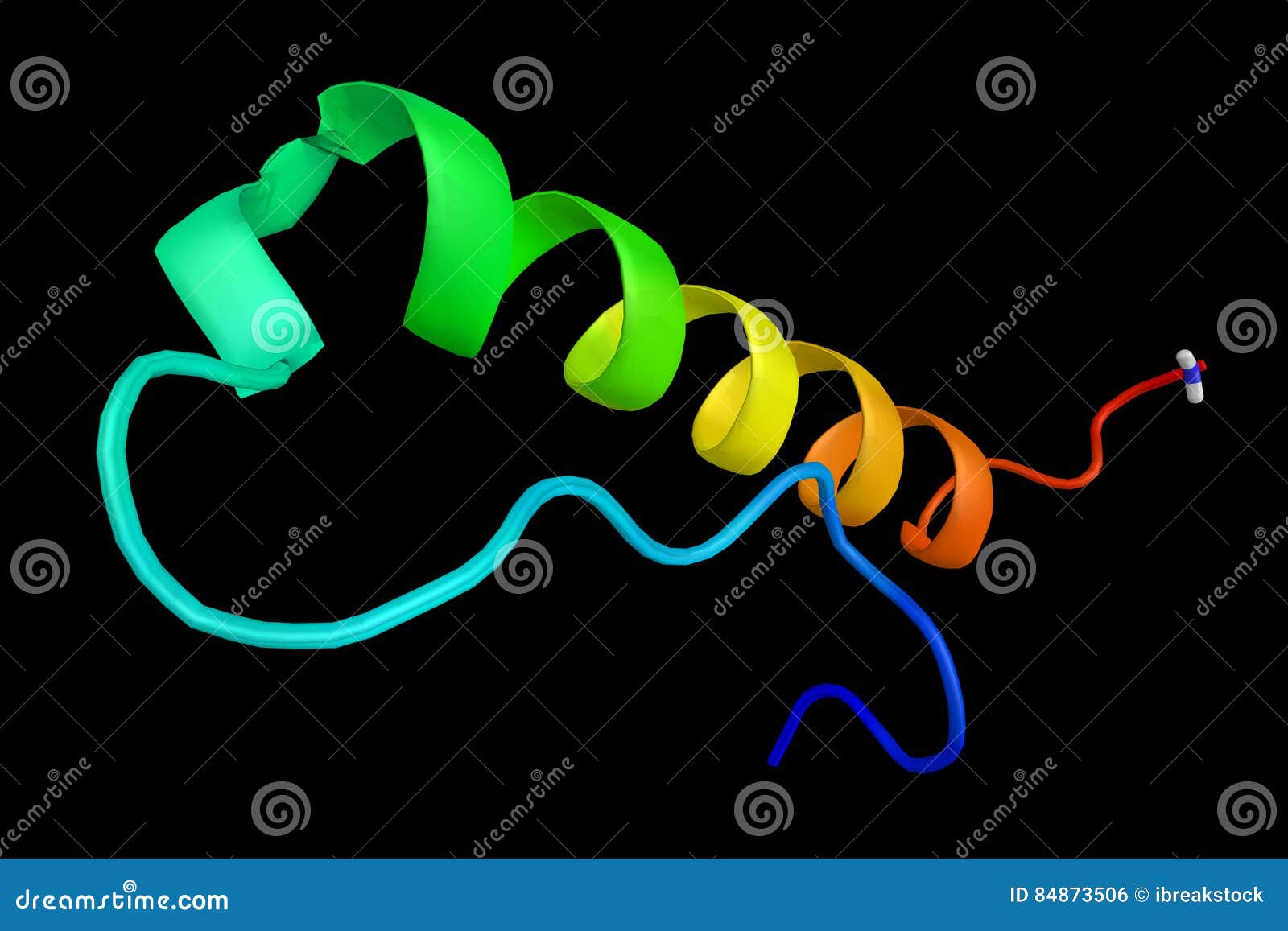 Peptide YY PYY, Un Peptide Che Riduce L'appetito Illustrazione di Stock ...