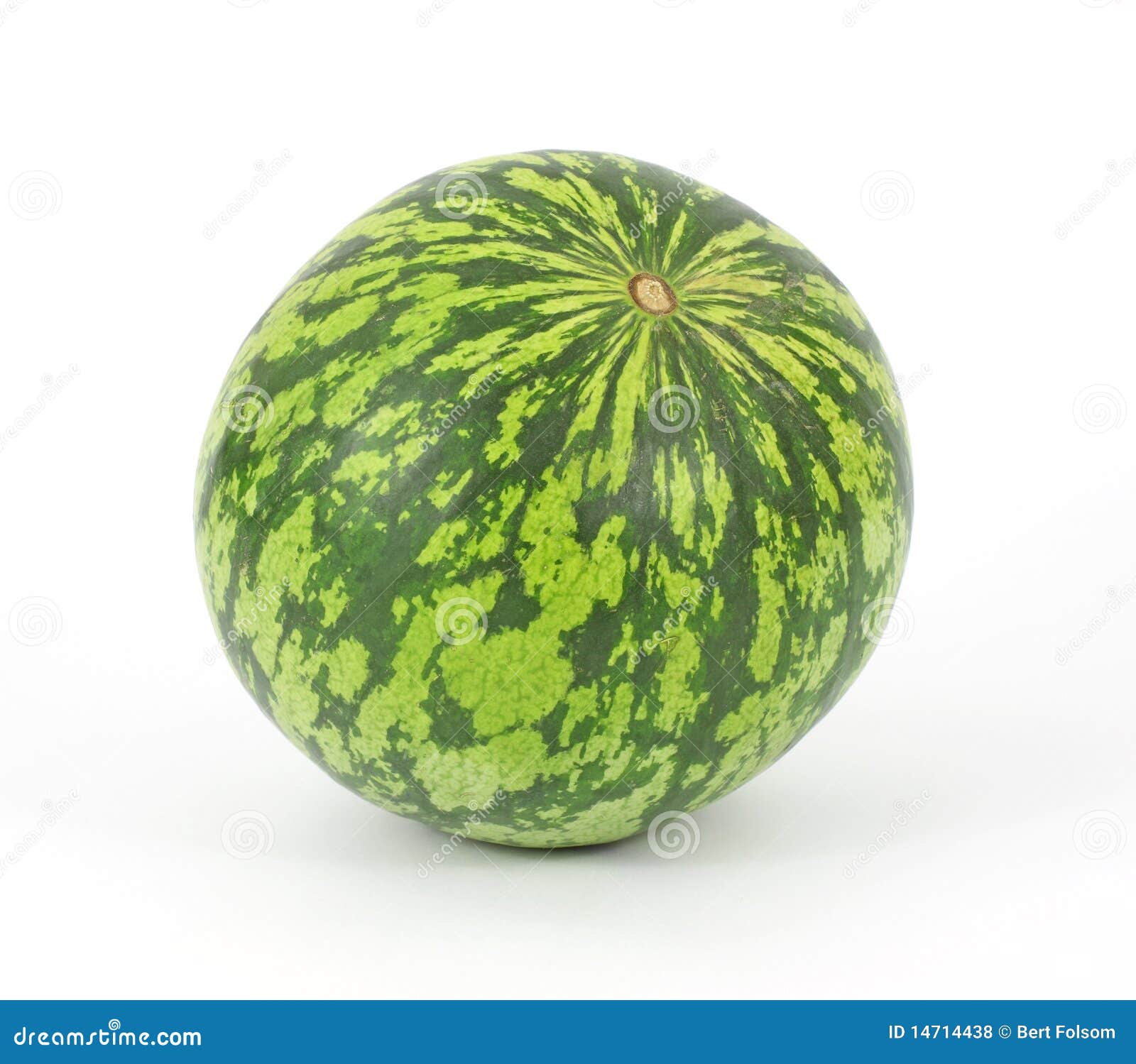 Pequeña Sandía Entera Del Bebé Foto de archivo - Imagen de corteza ...