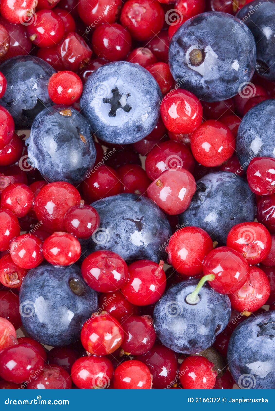 Pequeñas frutas foto de archivo. Imagen de amarillo, frutas - 2166372