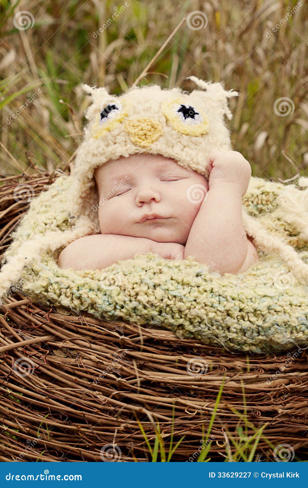 Pequeño búho del bebé imagen de archivo. Imagen de buho - 33629227