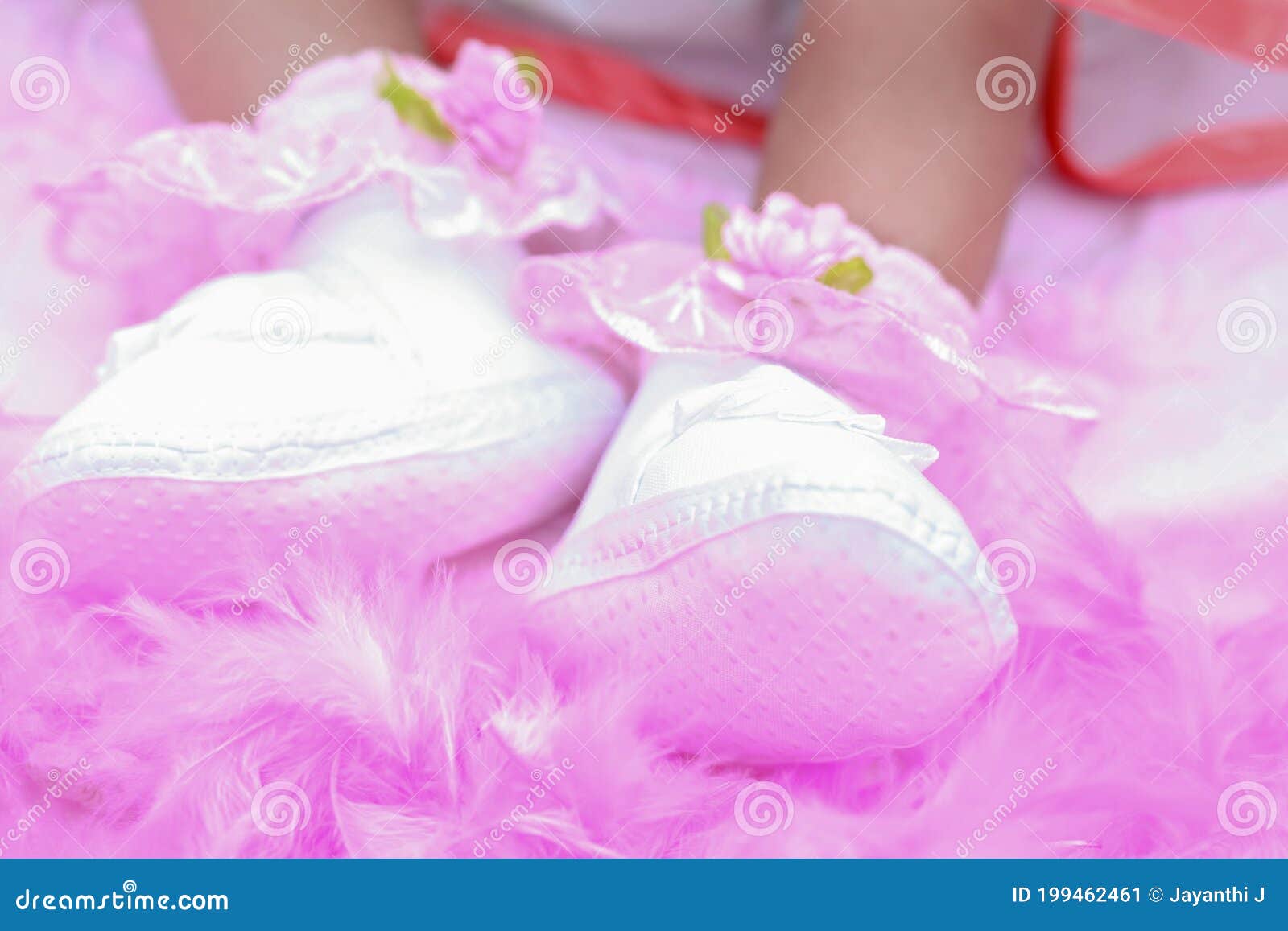 Pequena Perna No Fundo Rosa Da Pena Imagem de Stock - Imagem de ...