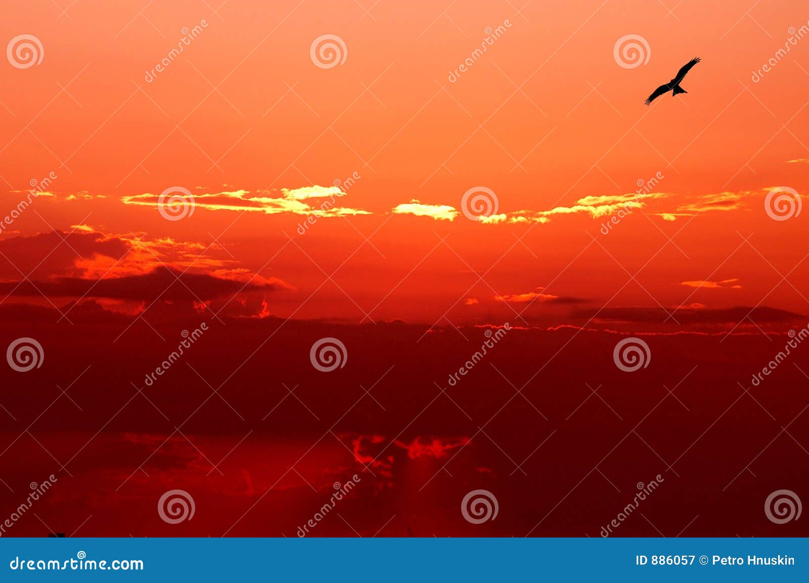 Per Per Volare in Su Sopra Il Cielo Immagine Stock - Immagine di feste ...