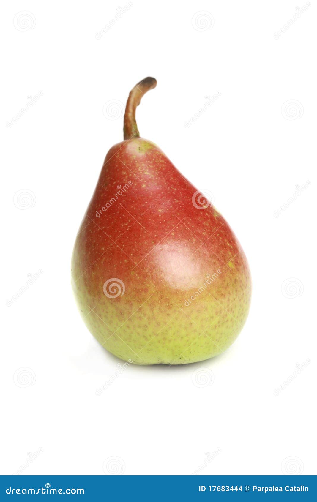 Pera fotografia stock. Immagine di estate, pianta, oggetto - 17683444