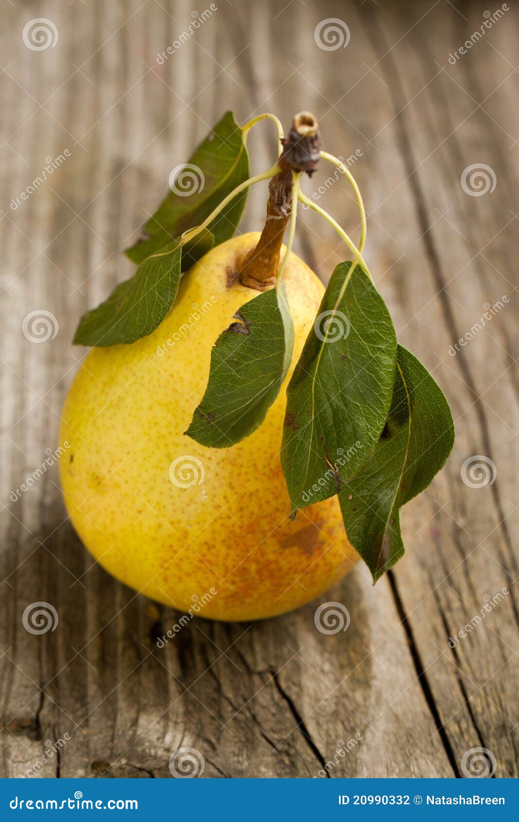 Pera foto de archivo. Imagen de estudio, coma, dieta - 20990332