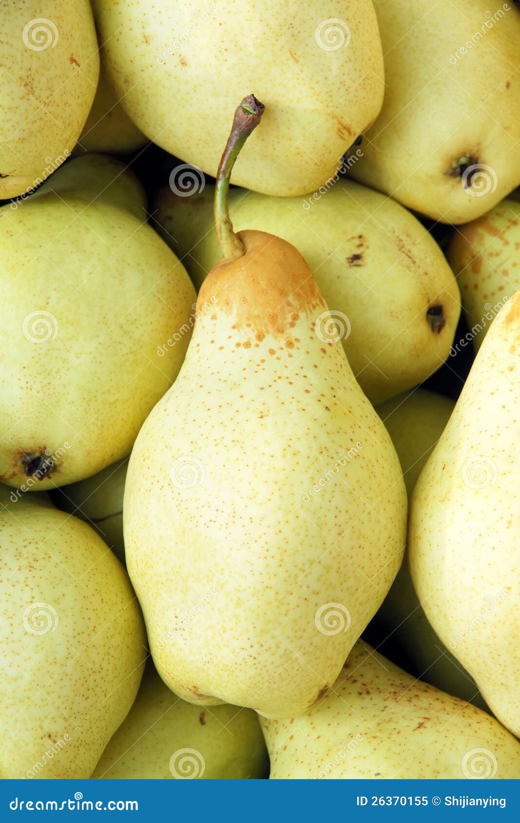 Pera imagen de archivo. Imagen de comestible, pera, fondo - 26370155