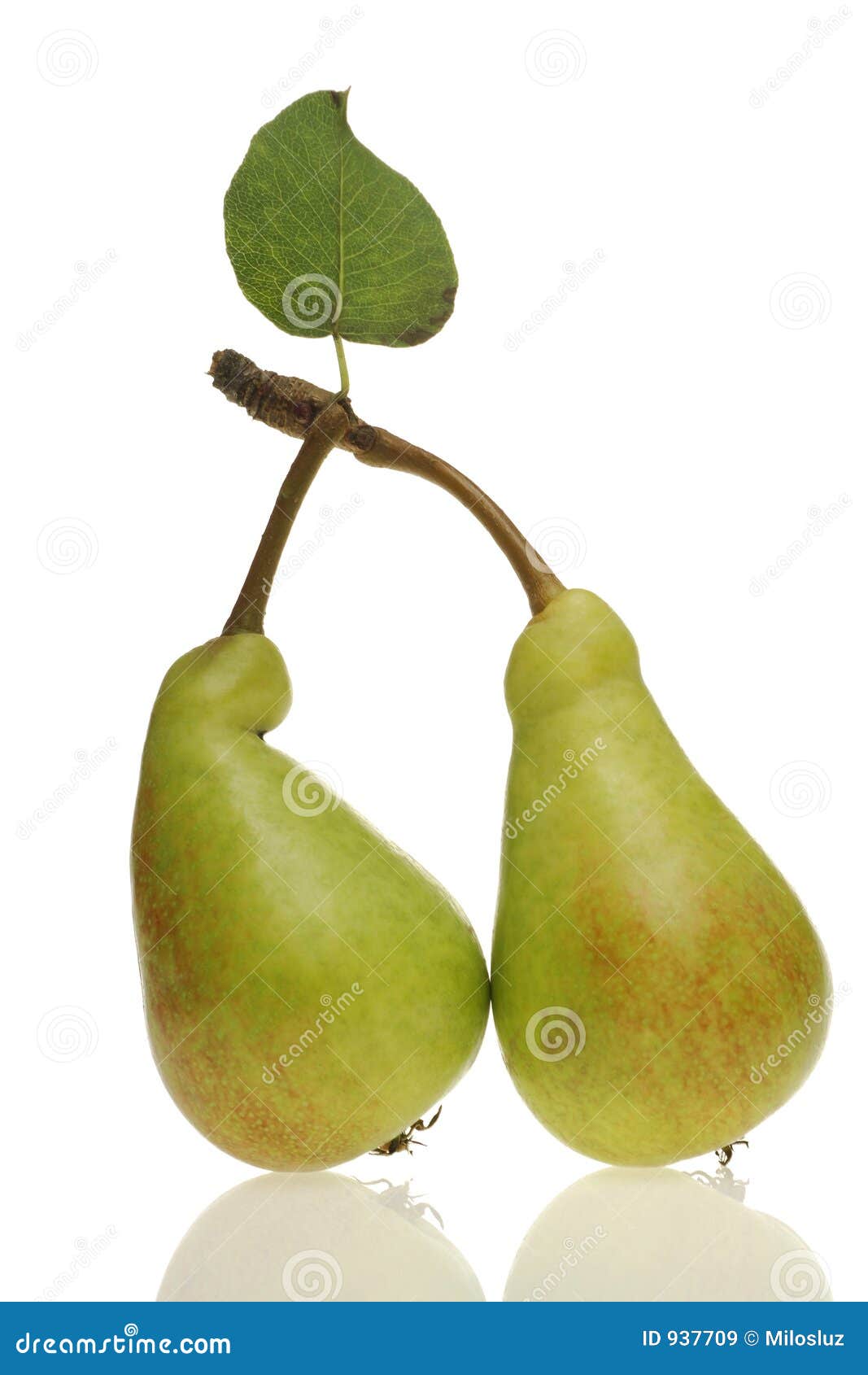 Pera imagem de stock. Imagem de gêmeos, cozinhar, naughty - 937709