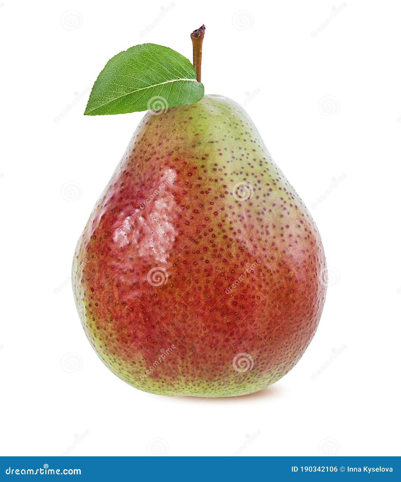 Pera aislada en blanco foto de archivo. Imagen de fondo - 190342106