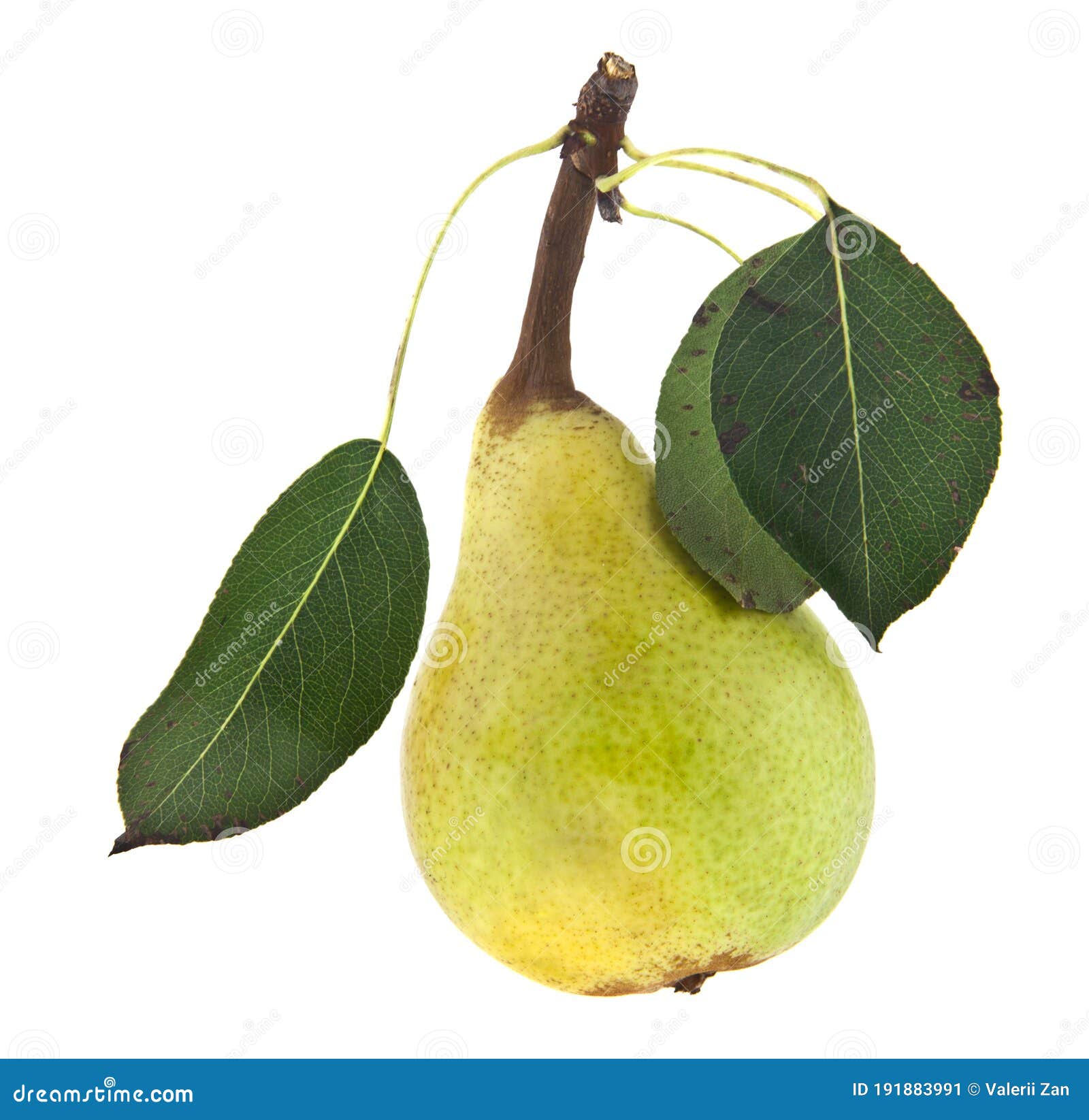 Pera Aislada En Fondo Blanco Imagen de archivo - Imagen de dieta ...