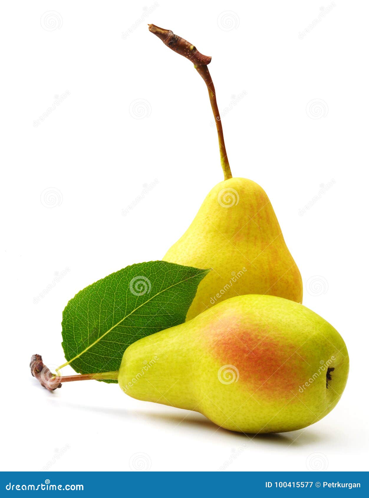 Pera Aislada En Un Fondo Blanco Imagen de archivo - Imagen de pera ...