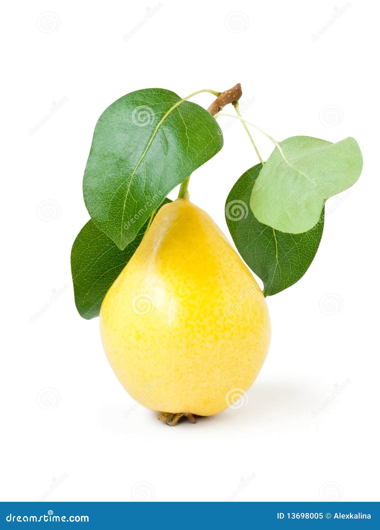 Pera Amarela Com Folhas Verdes Imagem de Stock - Imagem de cores ...