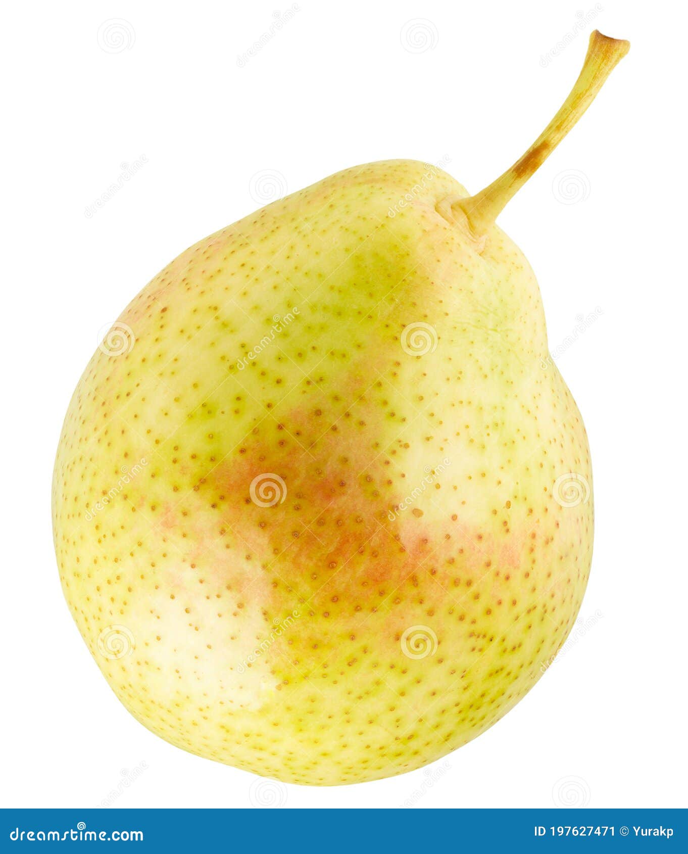 Pera Amarilla Aislada En Fondo Blanco Imagen de archivo - Imagen de ...