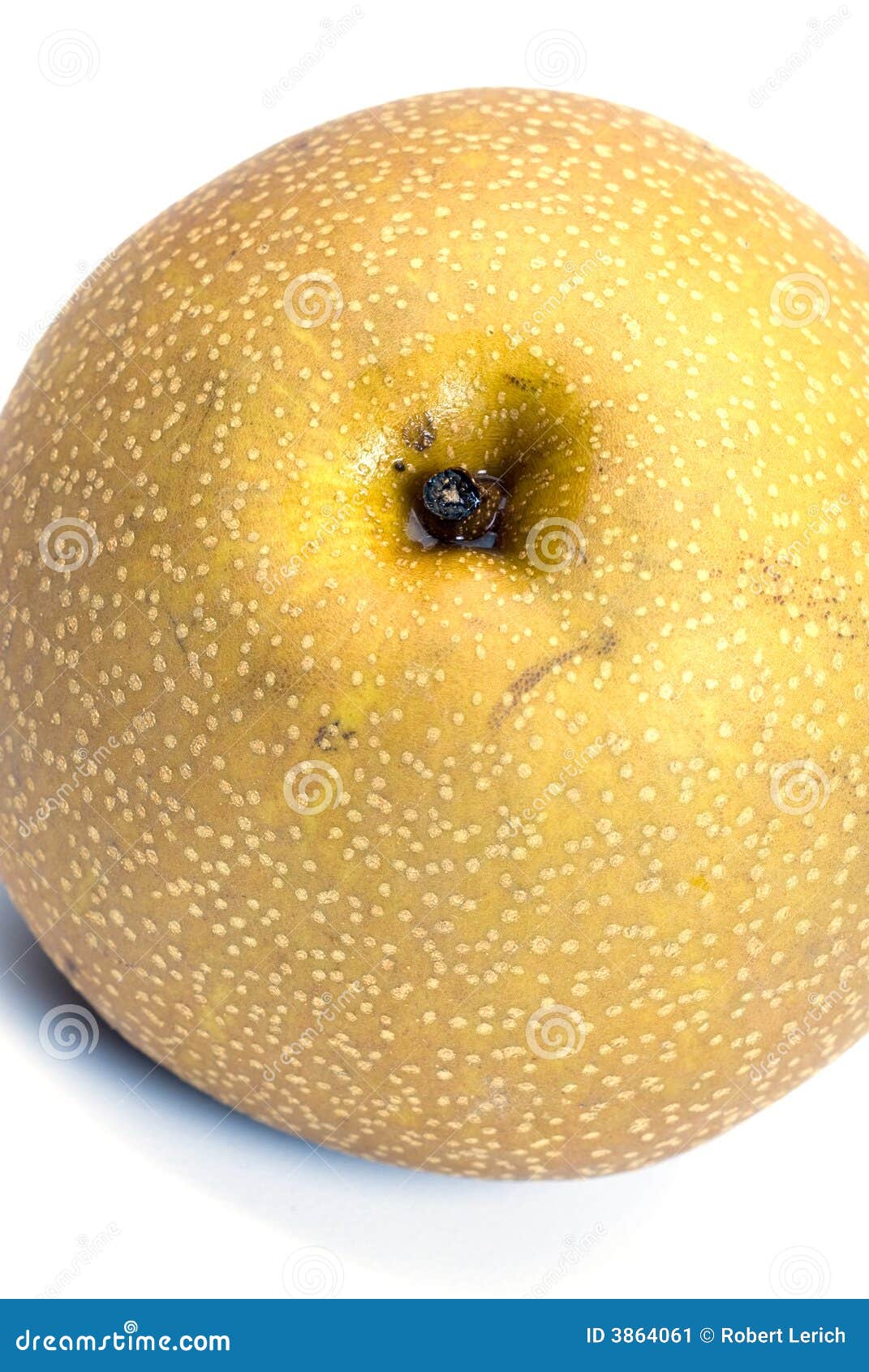 Pera asiatica di nashi immagine stock. Immagine di fresco - 3864061