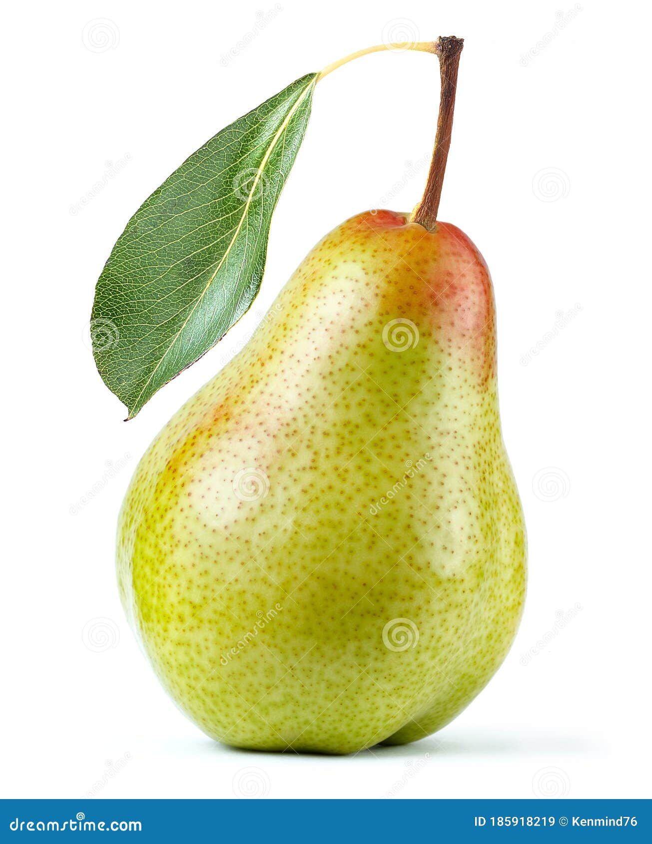 Pera Con Fondo Blanco Aislado De Hoja Imagen de archivo - Imagen de ...