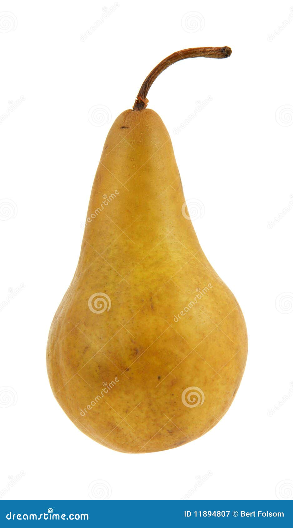Pera de Bosc imagem de stock. Imagem de alimento, maduro - 11894807