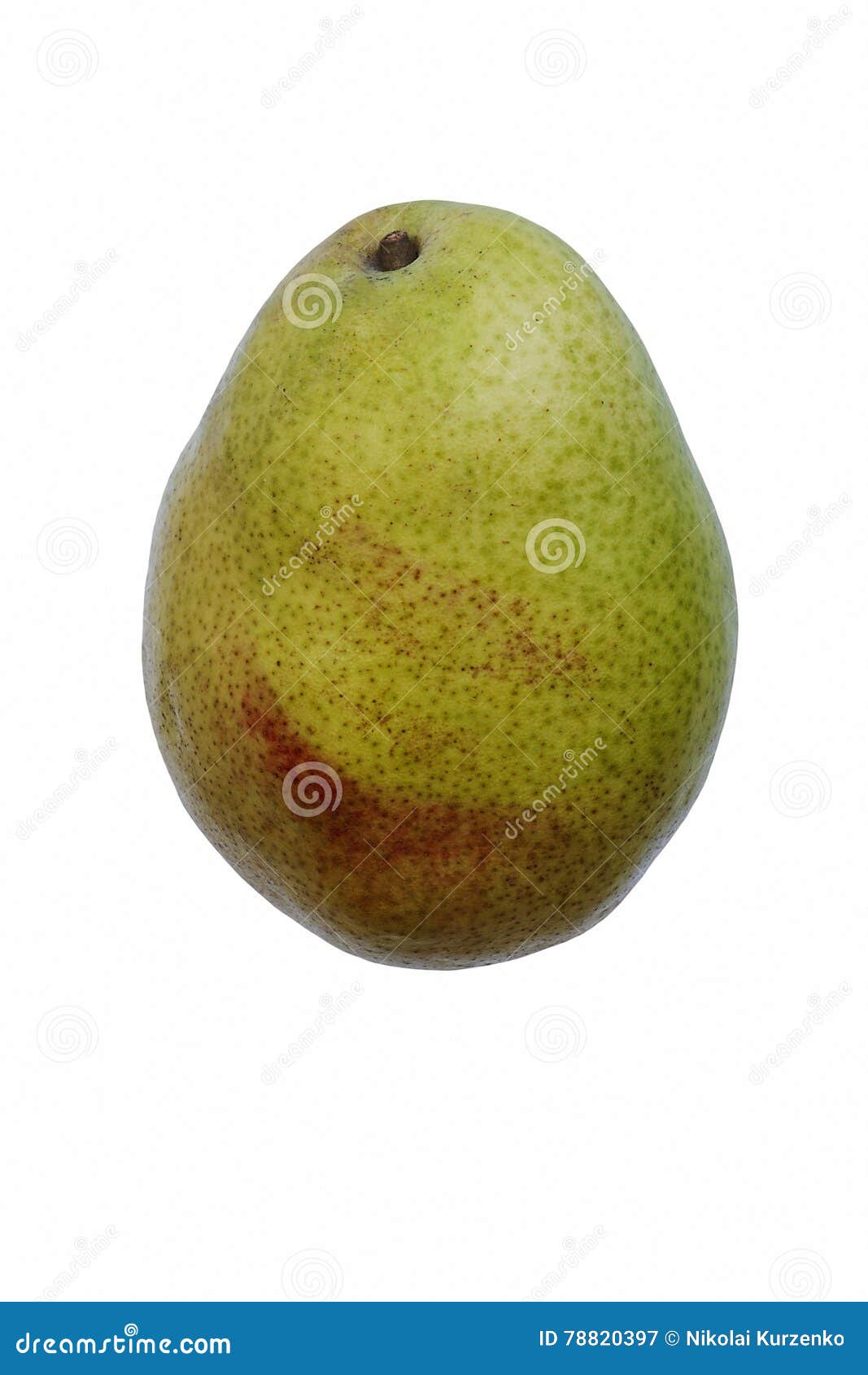 Pera de D'Anjou imagen de archivo. Imagen de retrato - 78820397