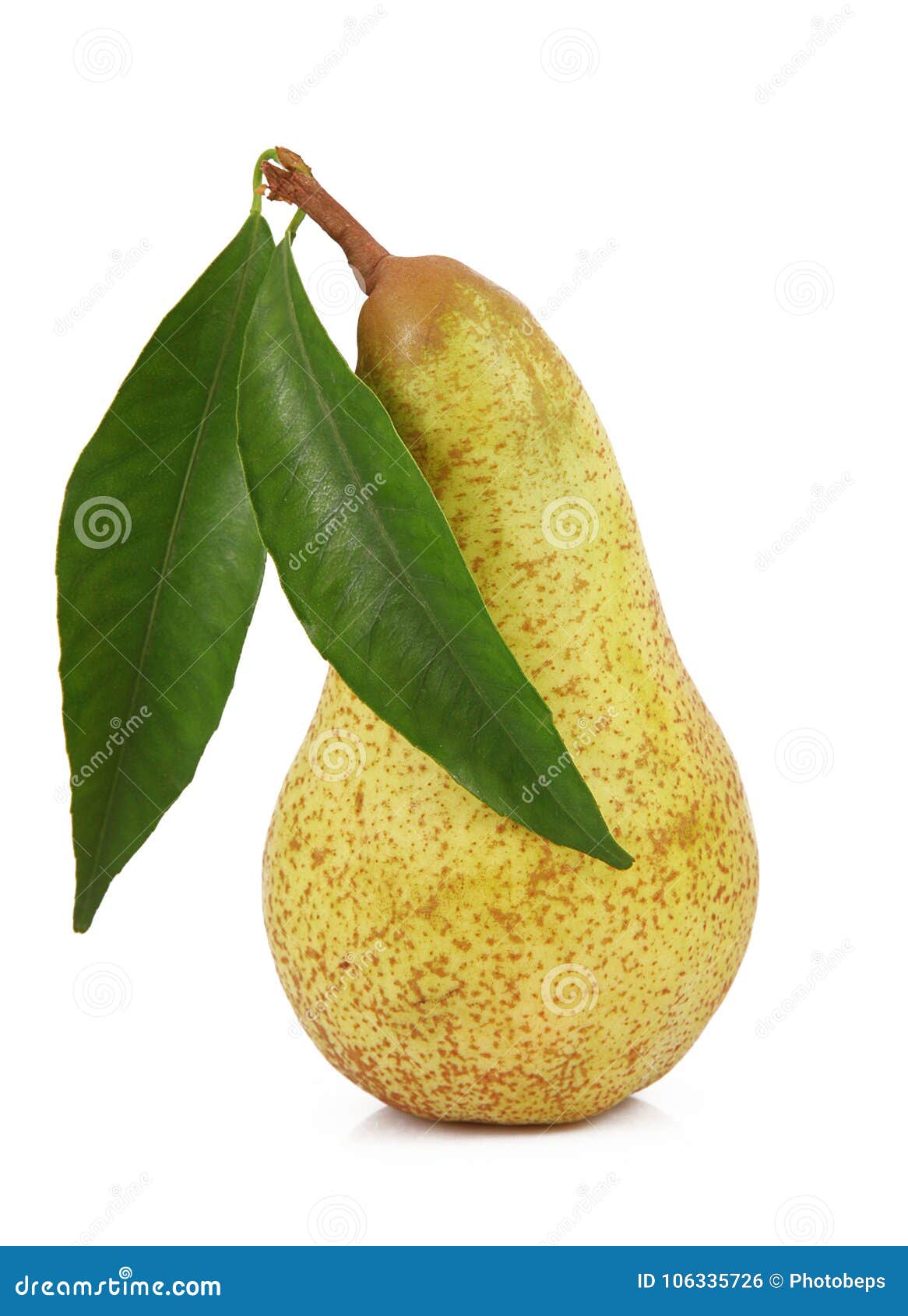 Pera en el fondo blanco foto de archivo. Imagen de aislado - 106335726