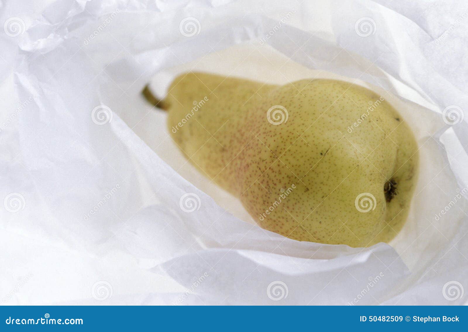 Pera en el papel imagen de archivo. Imagen de conjunto - 50482509